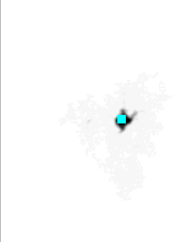 Some of Our Pictures And Movie Files (in AtomViewer Format)